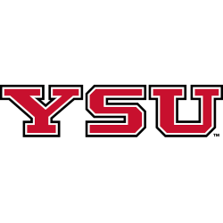 Youngstown State Penguins Logo History - Alternate Logo