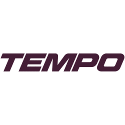 Toronto Tempo Logo History WNBA - Wordmark Logo